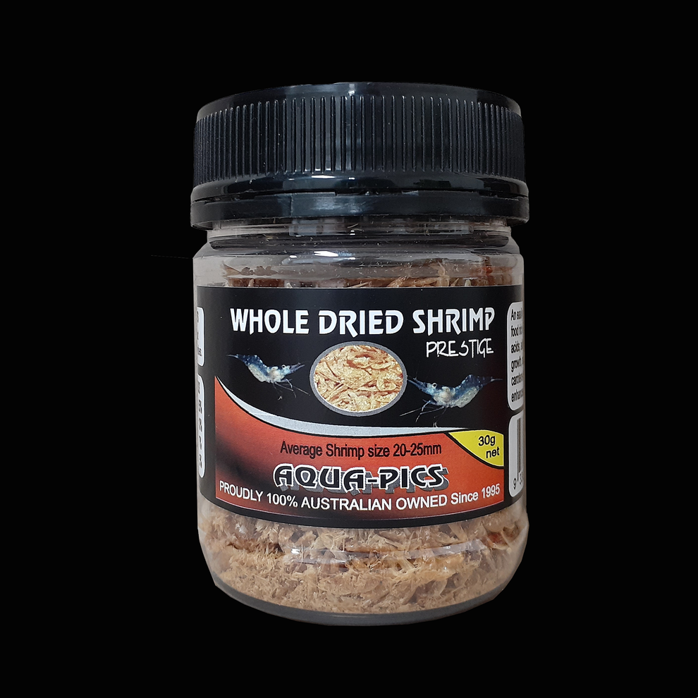 Whole Dried Shrimp 30g High Protein Fish Food – Aqua-Pics